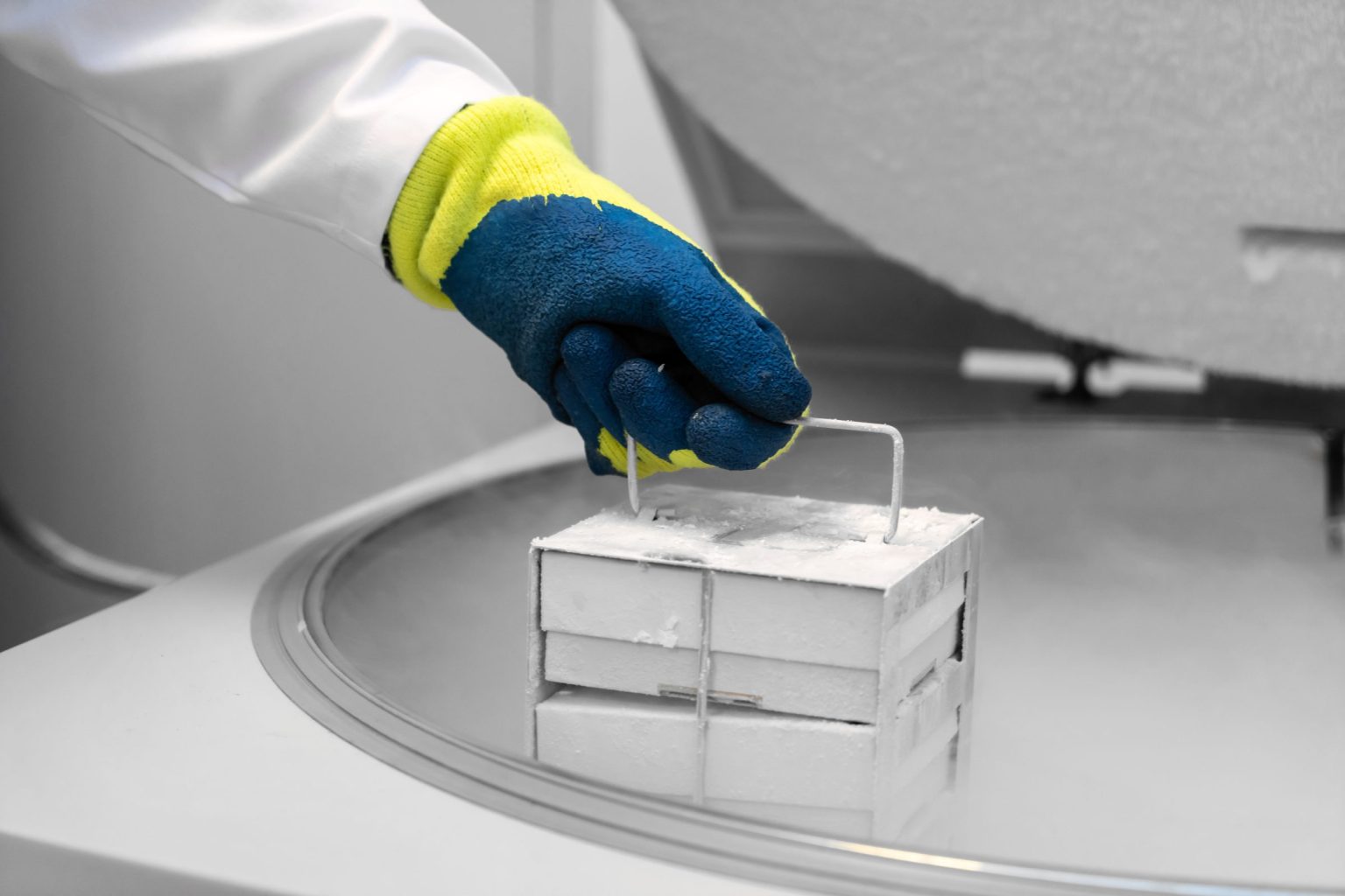 Cell Bank Manufacturing | GMP Cell Banking Services